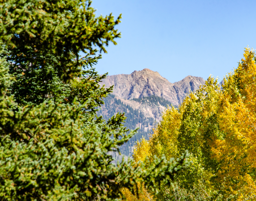 What to Do in Vail Village - Epic Colorado Life